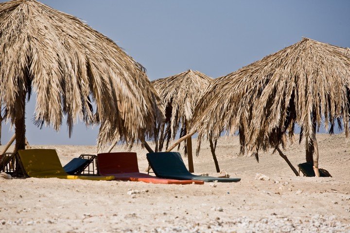 Duikvakantie Red Sea Diving Safari - Marsa Shagra - Dive and Travel