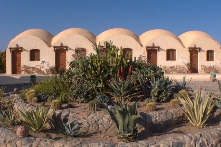 Duikvakantie Red Sea Diving Safari - Marsa Shagra - Dive and Travel